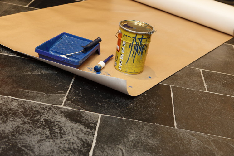 About Us - Stucloper Kampioen